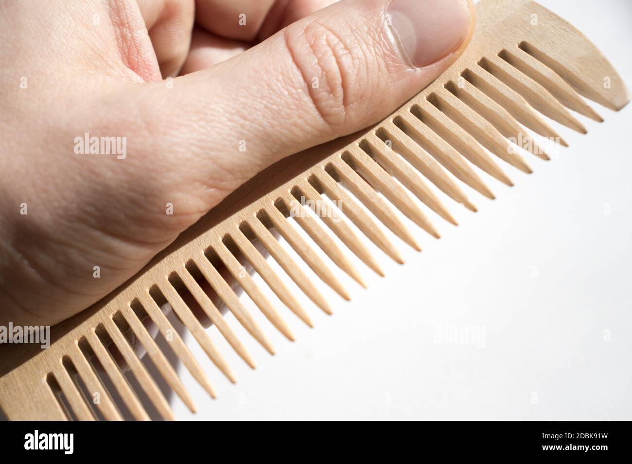 Hand holds a thin comb from a light tree on a white background Stock ...