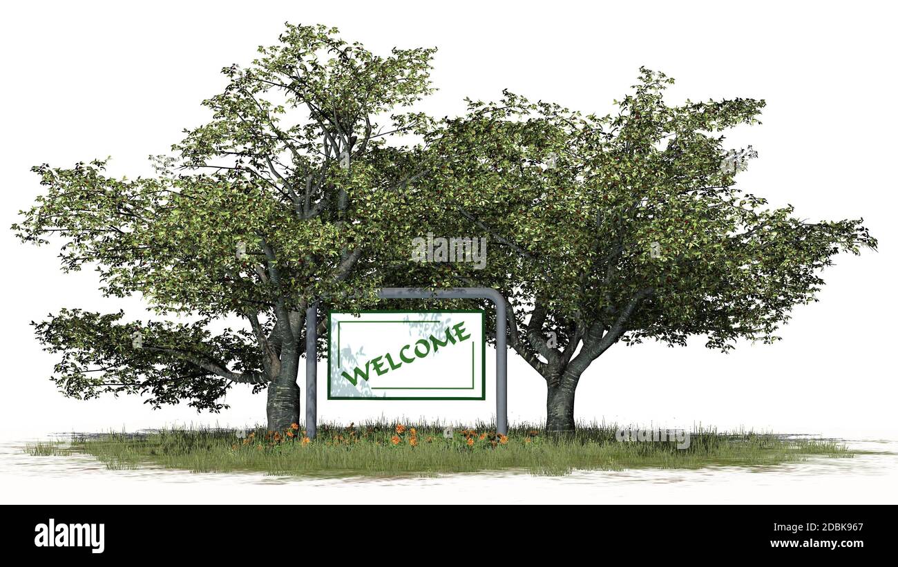 Sign in screen clean Cut Out Stock Images & Pictures - Alamy