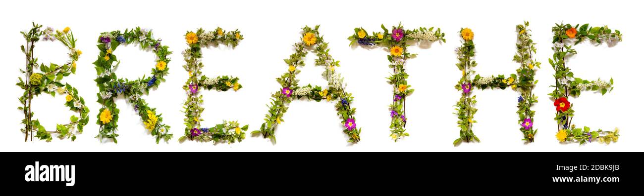 Flower, Branches And Blossom Letter Building English Word Breathe ...