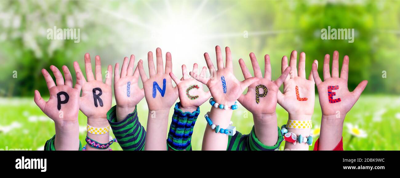 Children Hands Building Colorful English Word Principle. Sunny Green ...