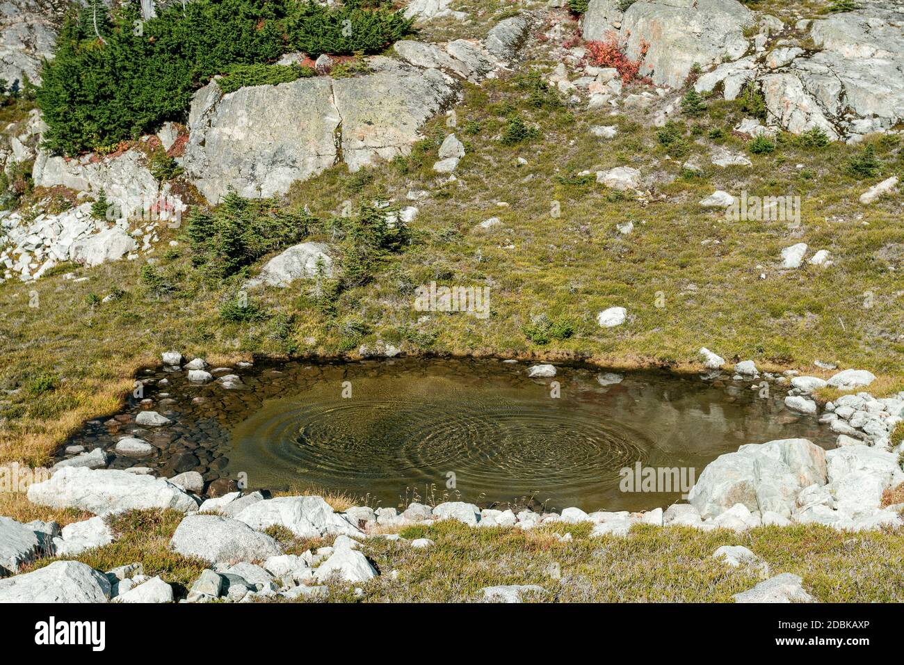 Logging pond hi-res stock photography and images - Alamy