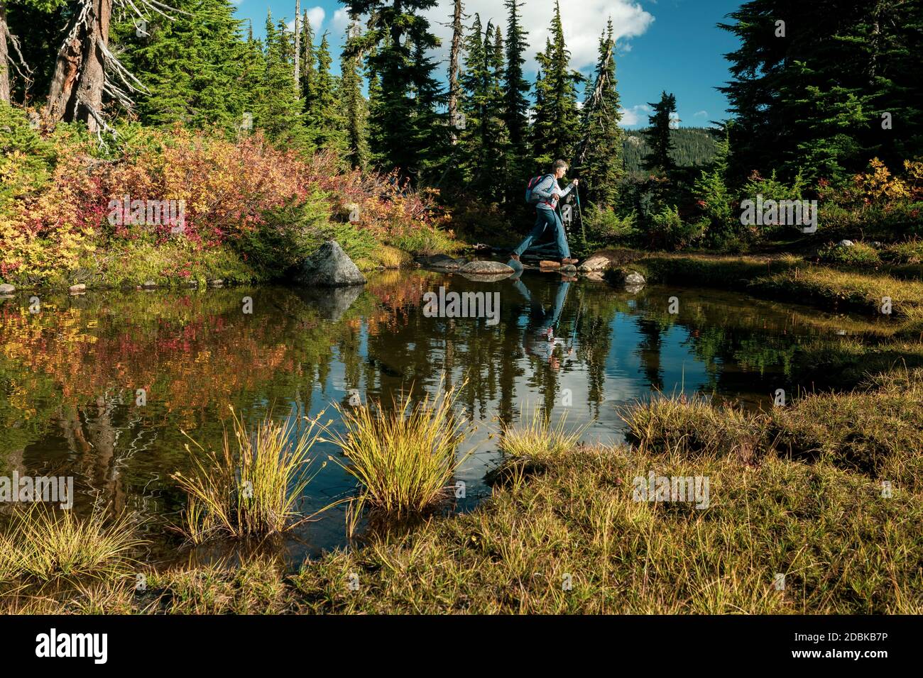 Logging pond hi-res stock photography and images - Alamy