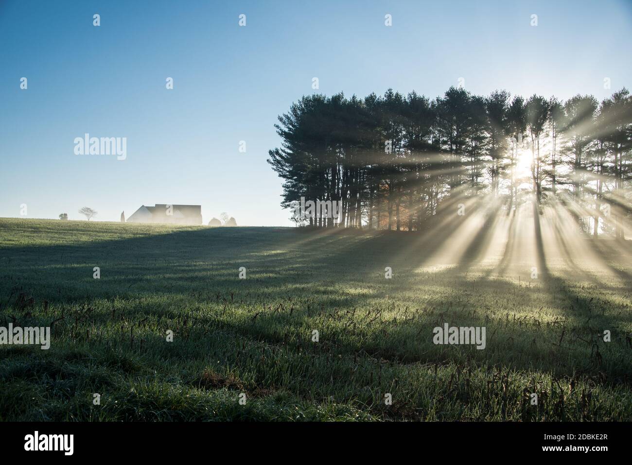 Sun's ray and mist in the early morning on a farm Stock Photo - Alamy
