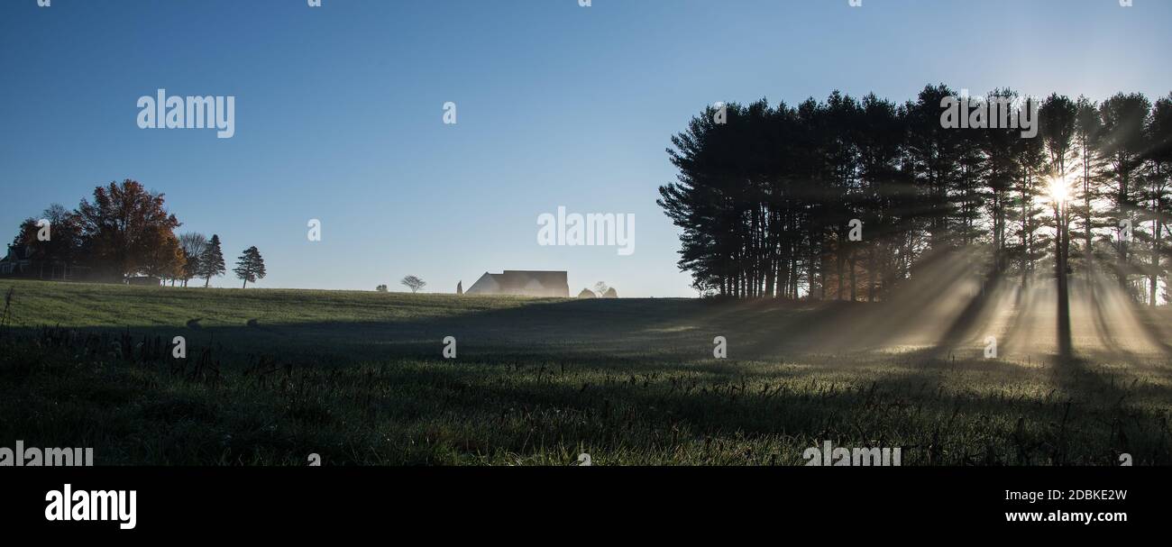 Sun's ray and mist in the early morning on a farm Stock Photo - Alamy