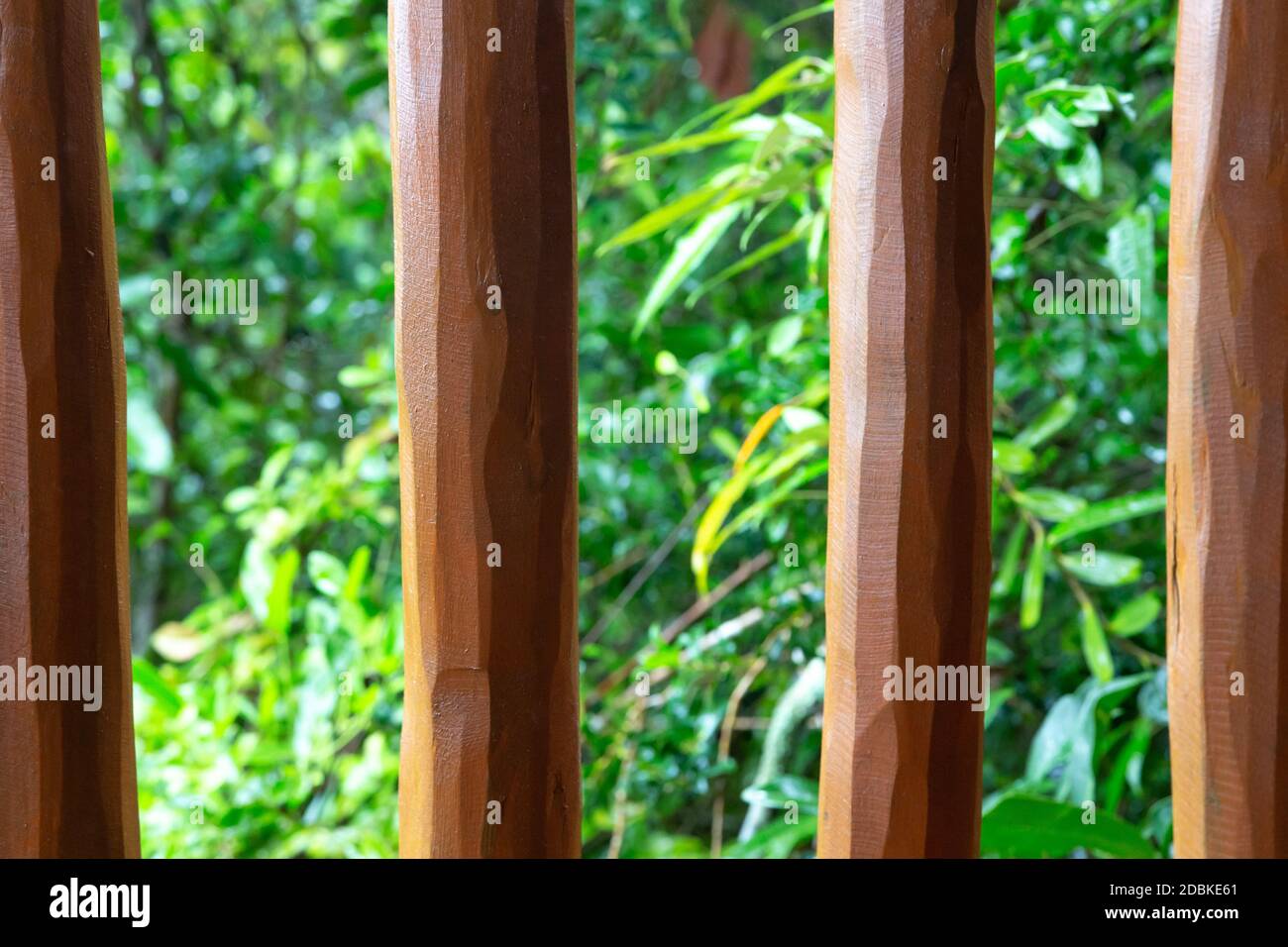 Wooden mesh hi-res stock photography and images - Alamy