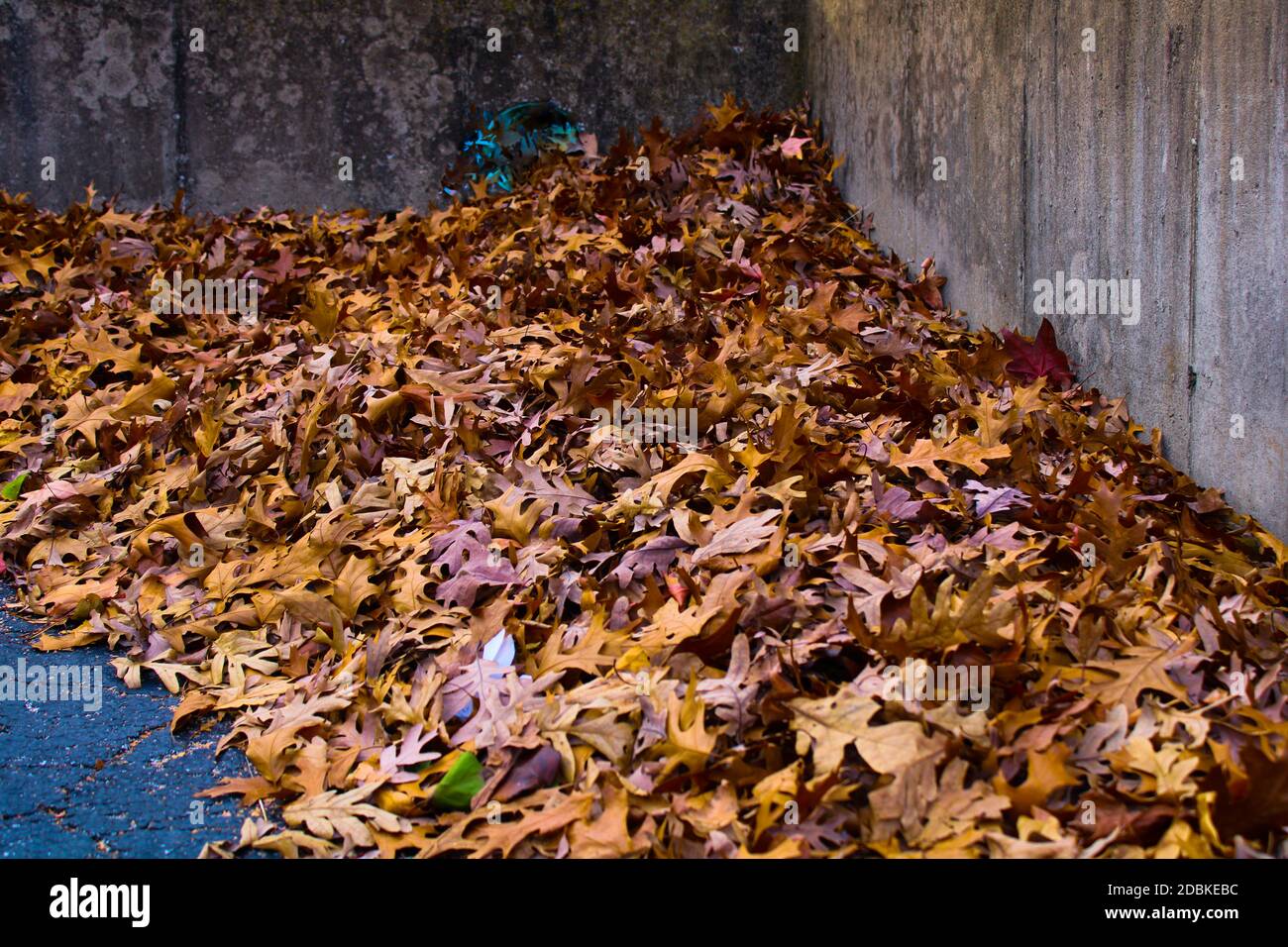 Colorful pile of autumn leaves Stock Photo - Alamy