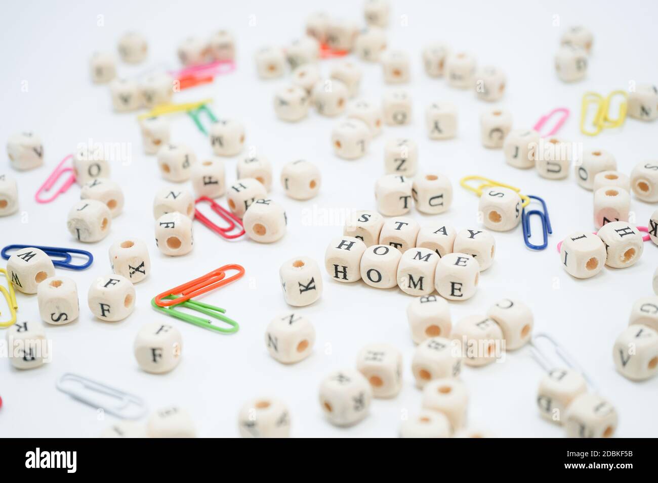 Stay home of the tree of (STAY HOME) block. Shooting Location: Yokohama ...