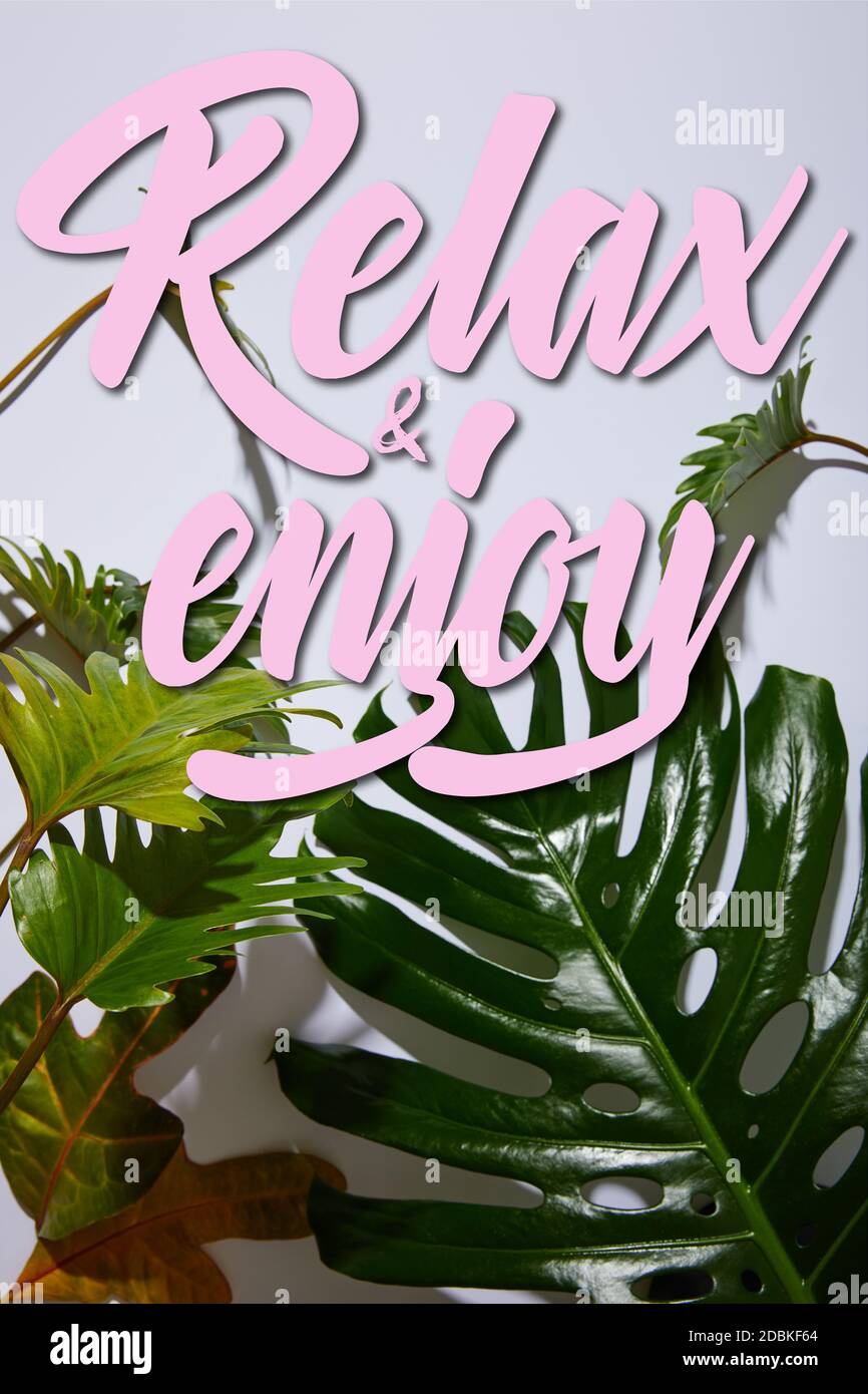 fresh tropical green leaves on white background with relax and enjoy ...