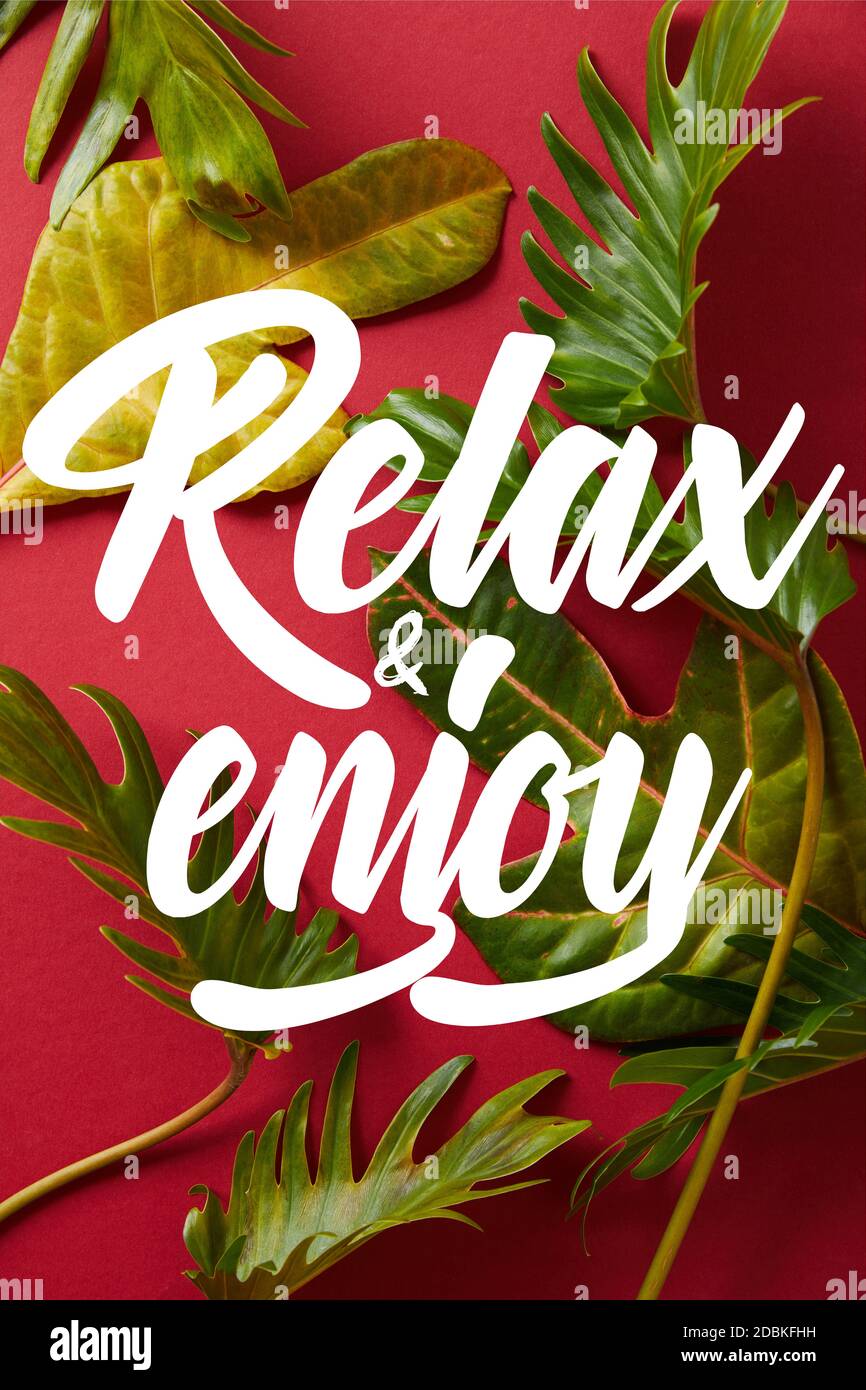 top view of tropical green leaves on red background with relax and ...