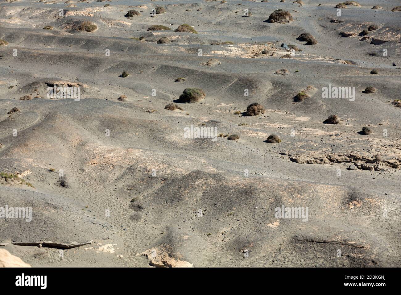 Beautiful volcanic landscape in La Pared on Fuerteventura. Canary ...