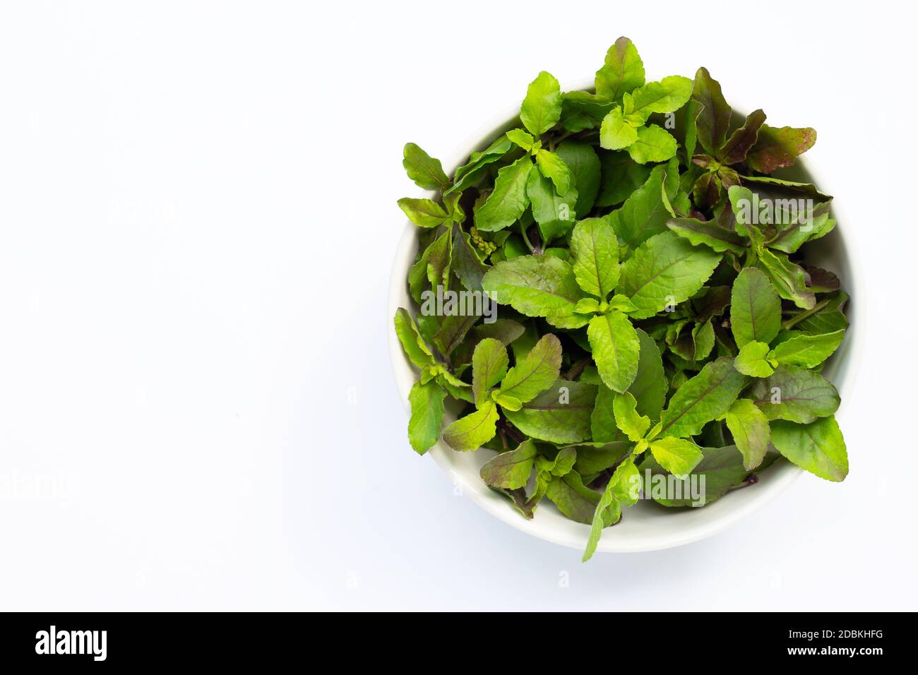 Fresh holy basil leaves in white bowl on white background. Copy space ...