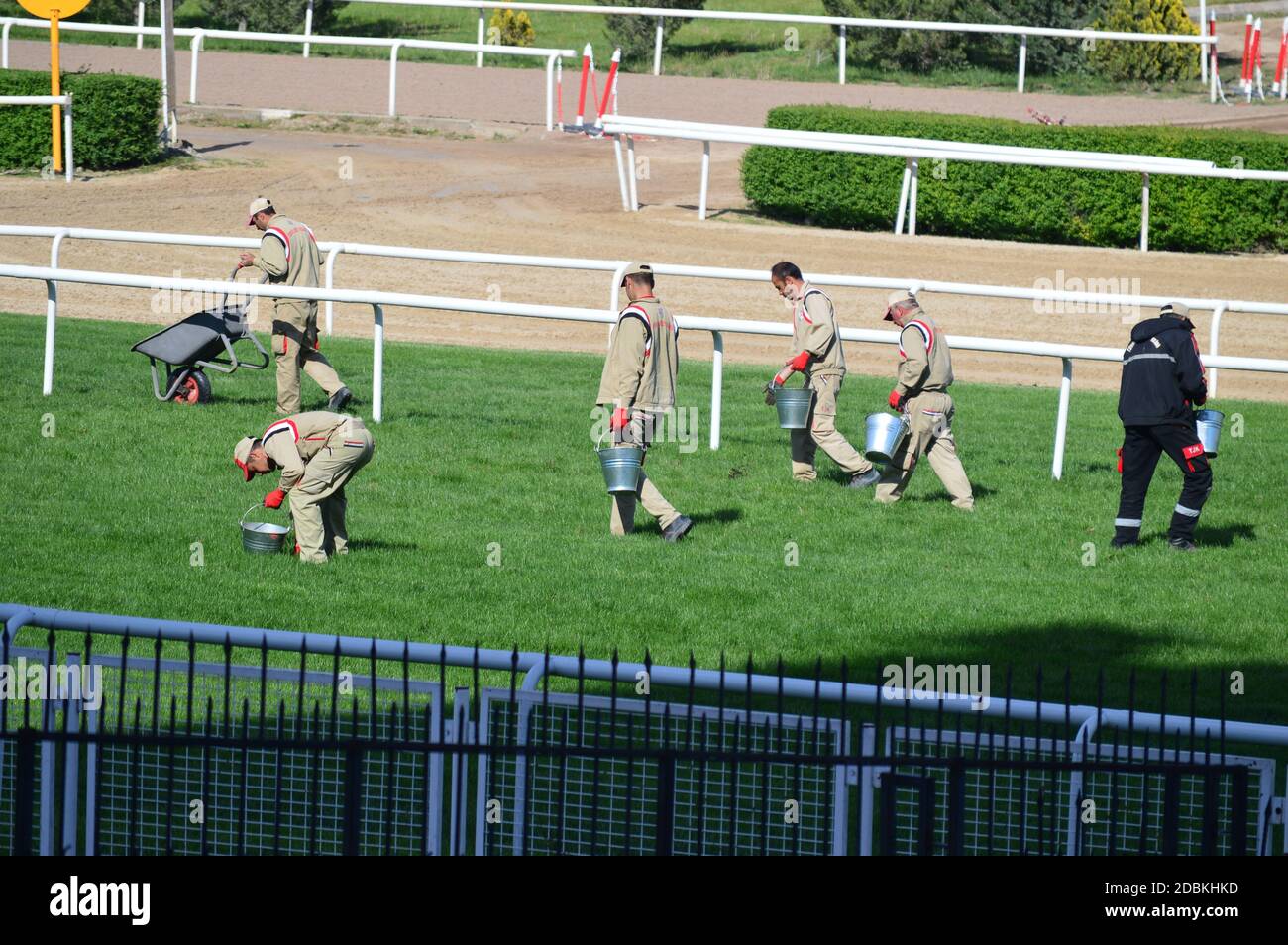people working on racing Stock Photo - Alamy
