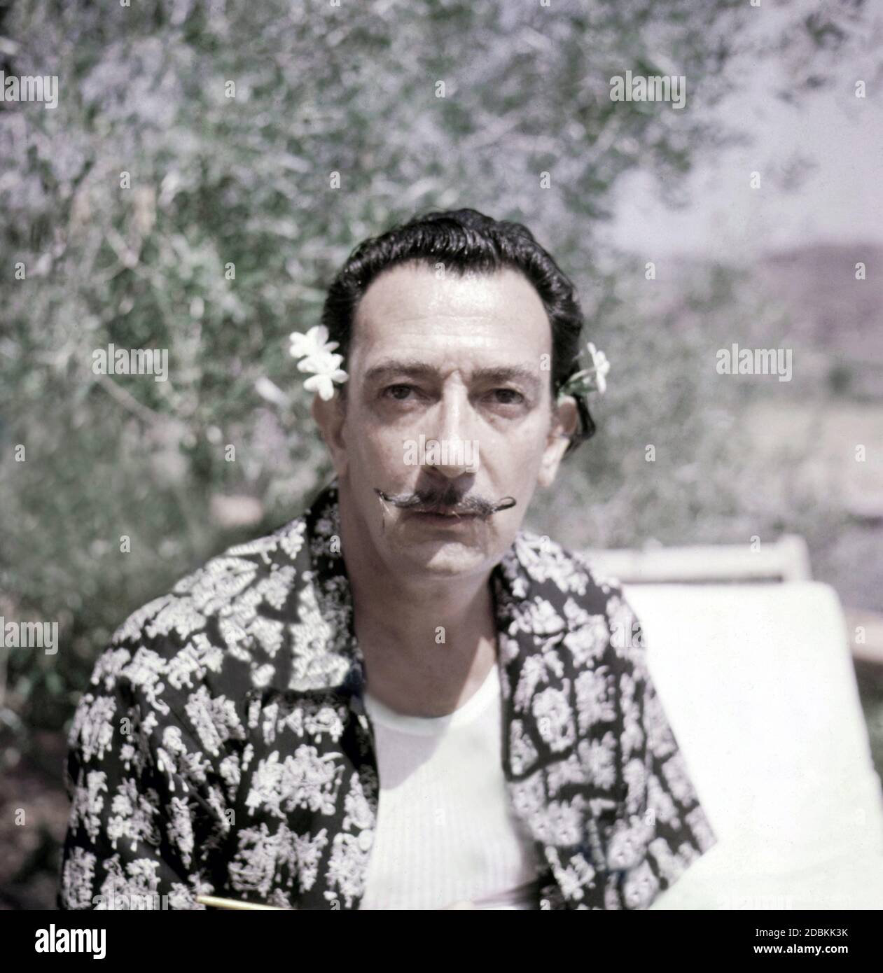 In camicia hi-res stock photography and images - Alamy