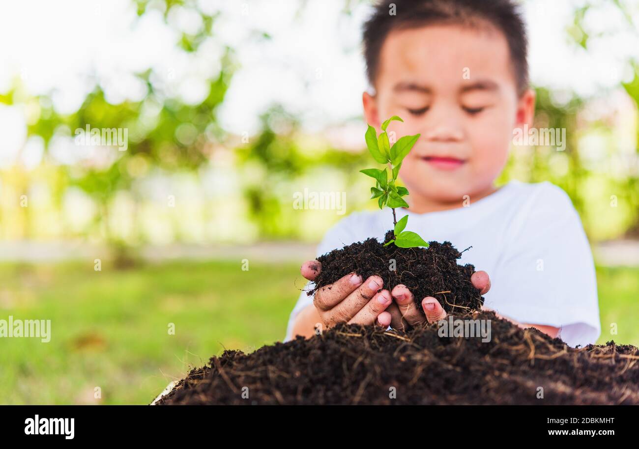 World Environment Day Environment Concept, Hand of Asian cute little ...