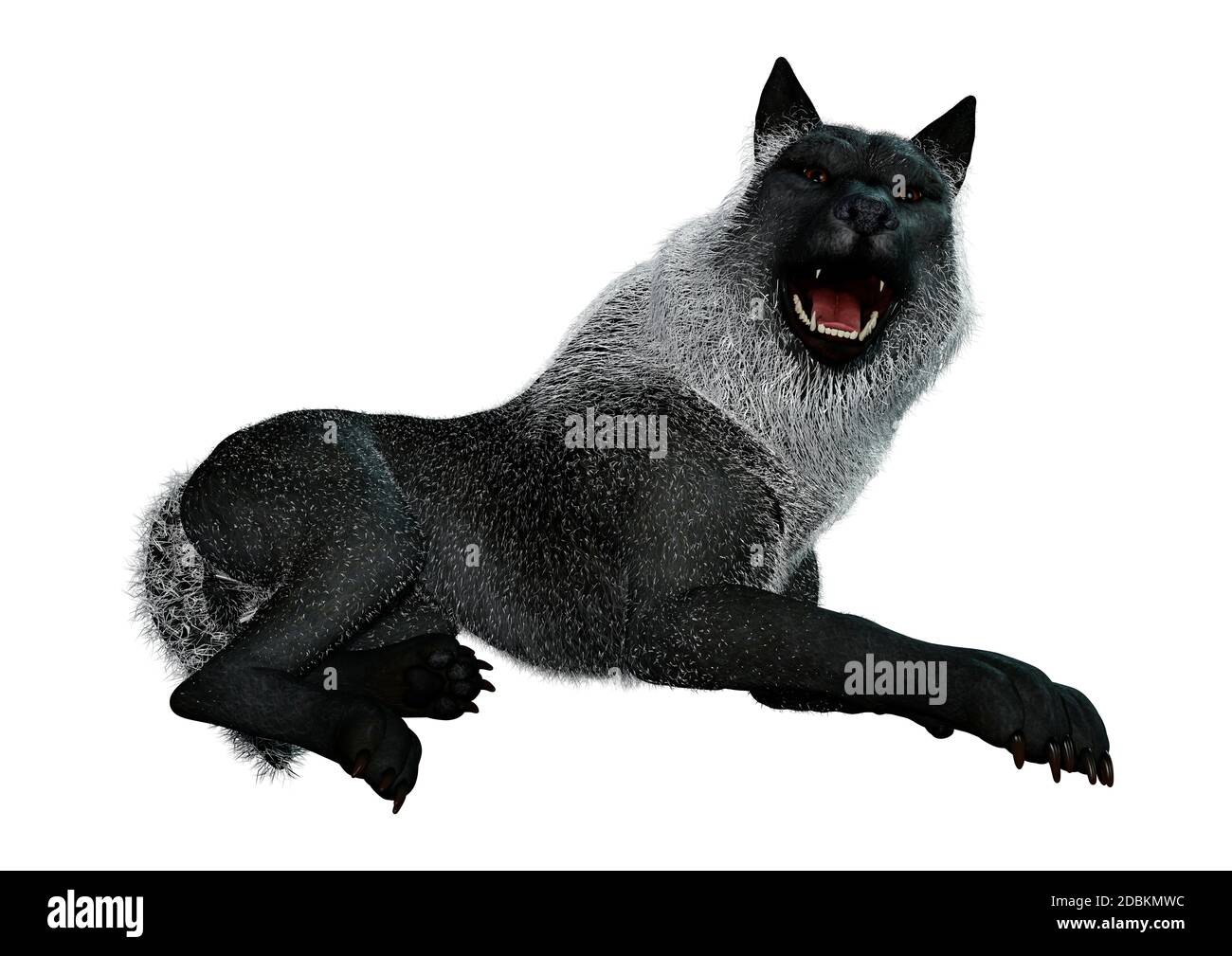3D rendering of a black wolf isolated on white background Stock Photo ...