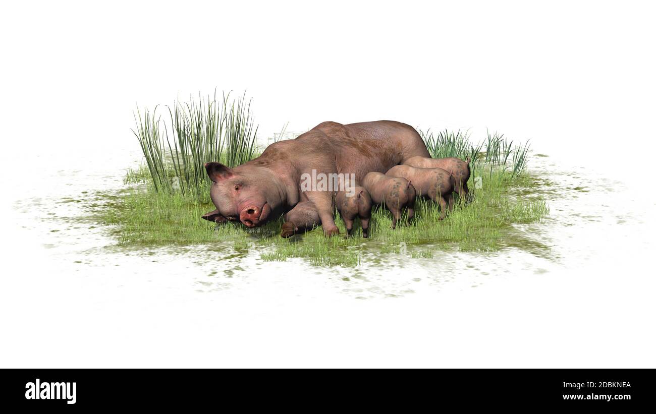 Happy pig in Cut Out Stock Images & Pictures - Alamy