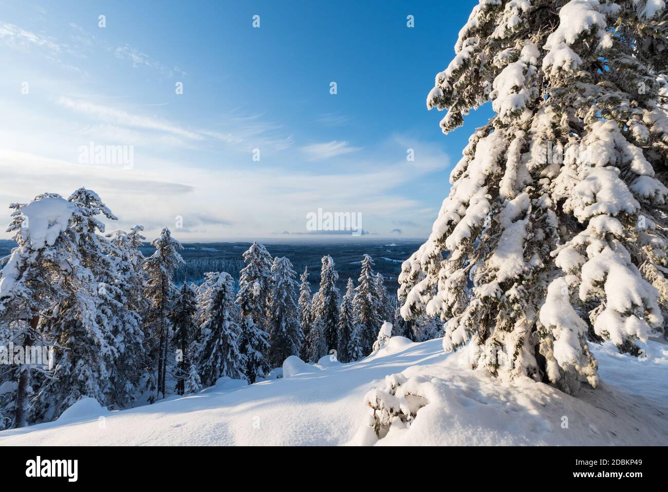 Winter landscape in Koli National Park, Finland Stock Photo - Alamy