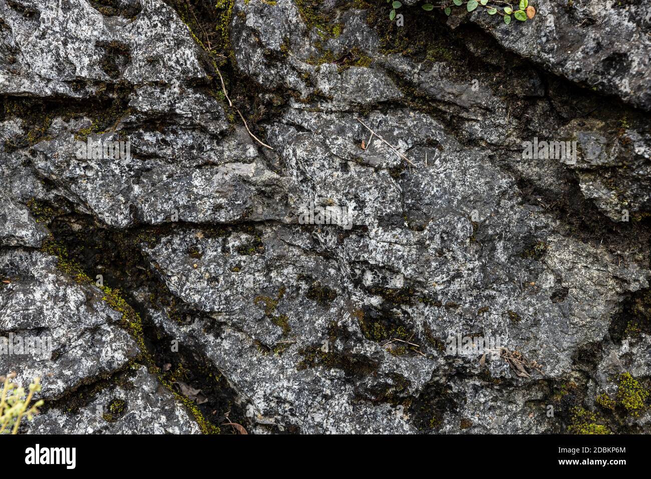 Bark stone pattern hi-res stock photography and images - Alamy