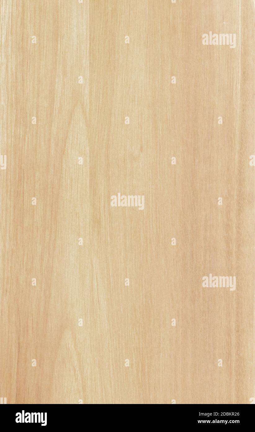 Clean light pine wood texture background Stock Photo - Alamy