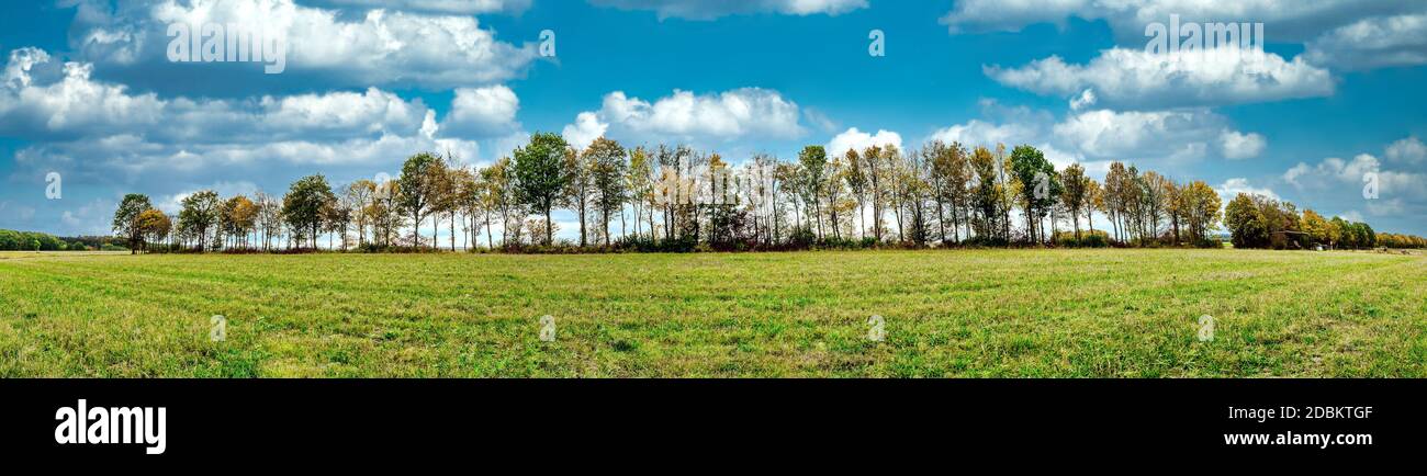 Panorama from line of trees in autumn on a beautiful day Stock Photo ...