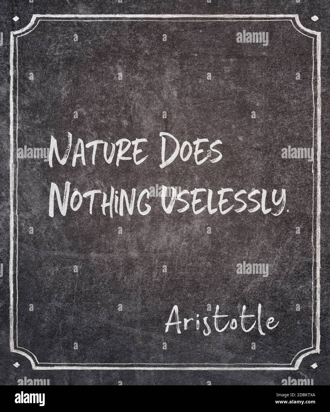 Nature does nothing uselessly - ancient Greek philosopher Aristotle ...