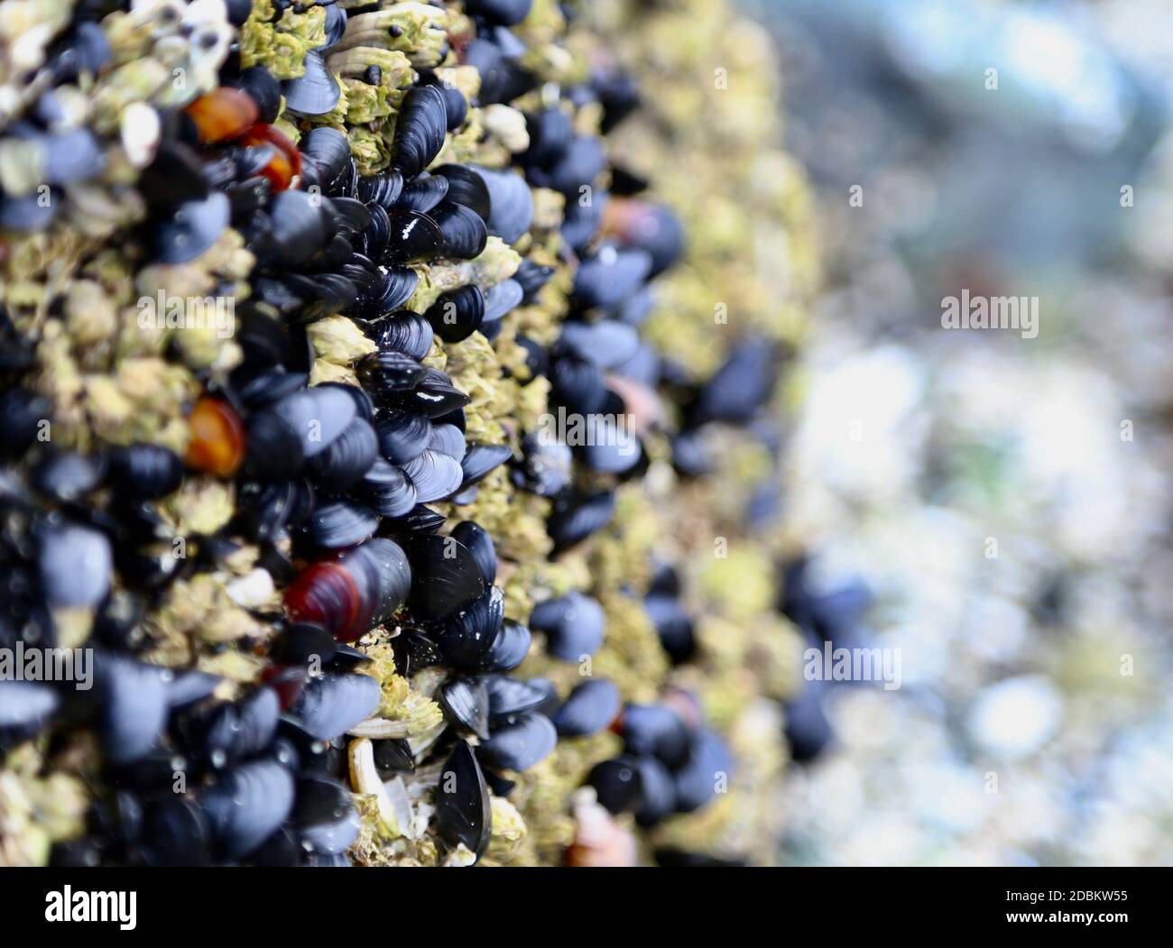 Numbers on rocks hi-res stock photography and images - Alamy