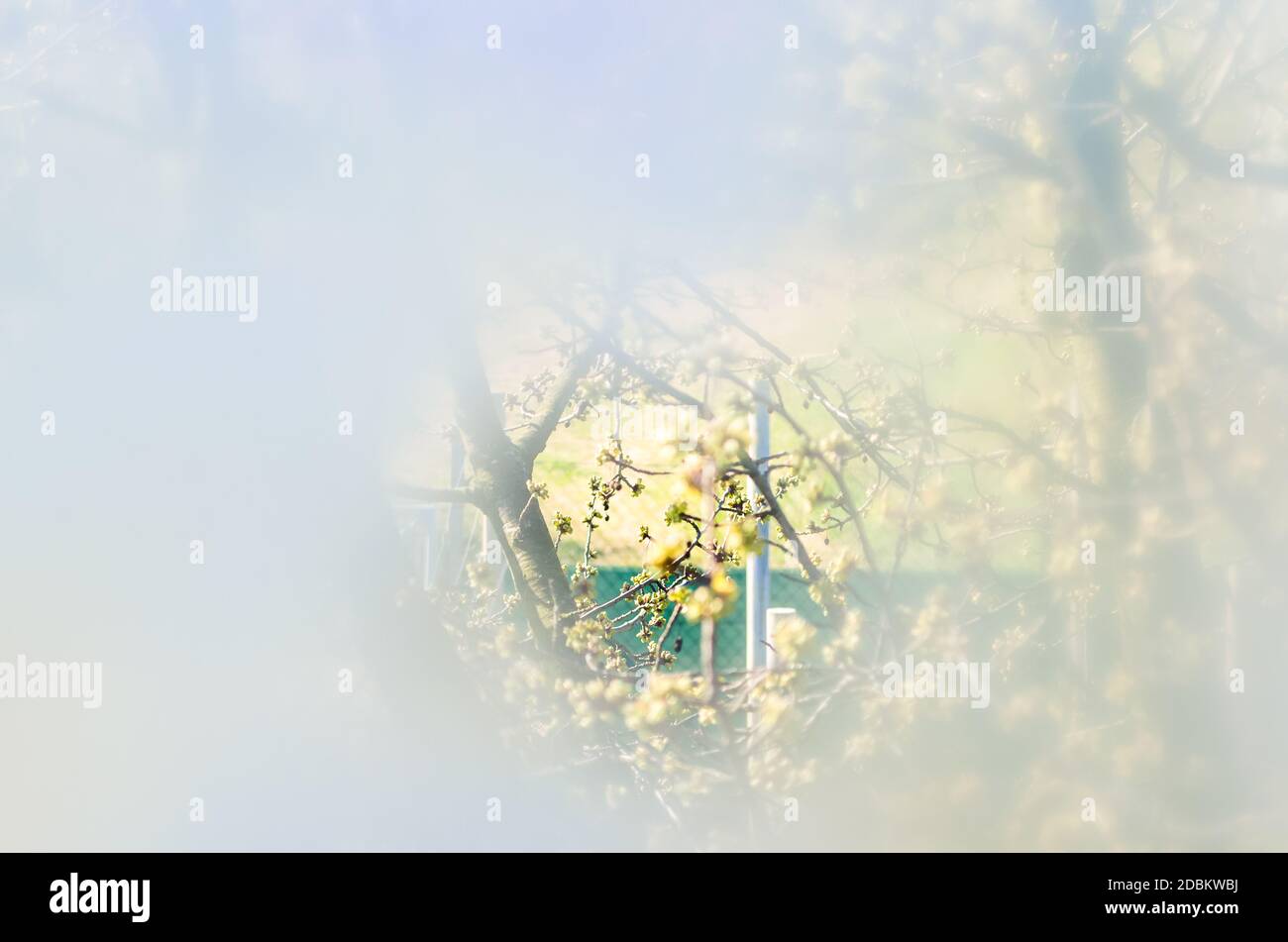 Icy glass hi-res stock photography and images - Alamy