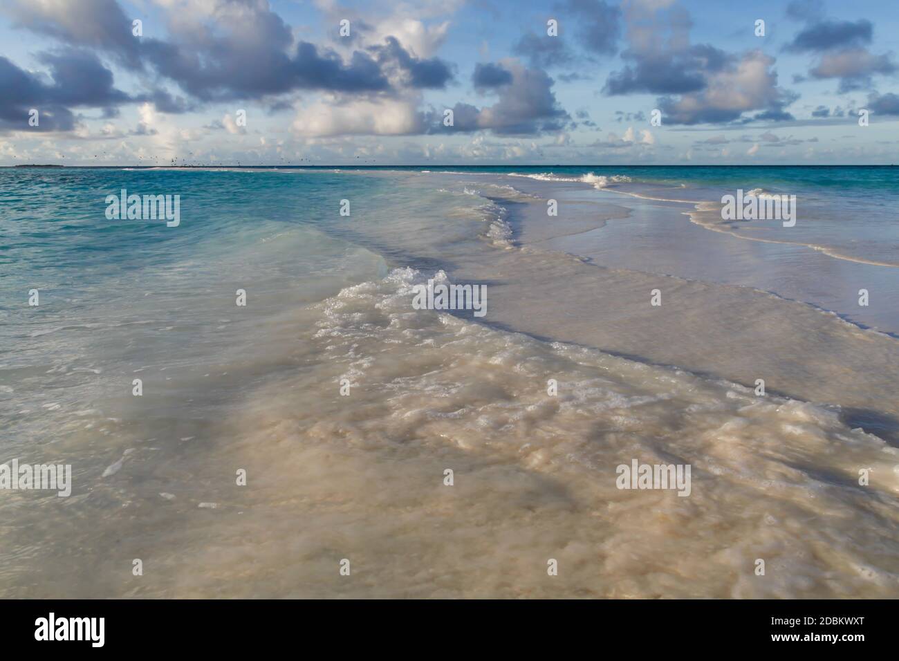 The beach on an island with waves Stock Photo - Alamy