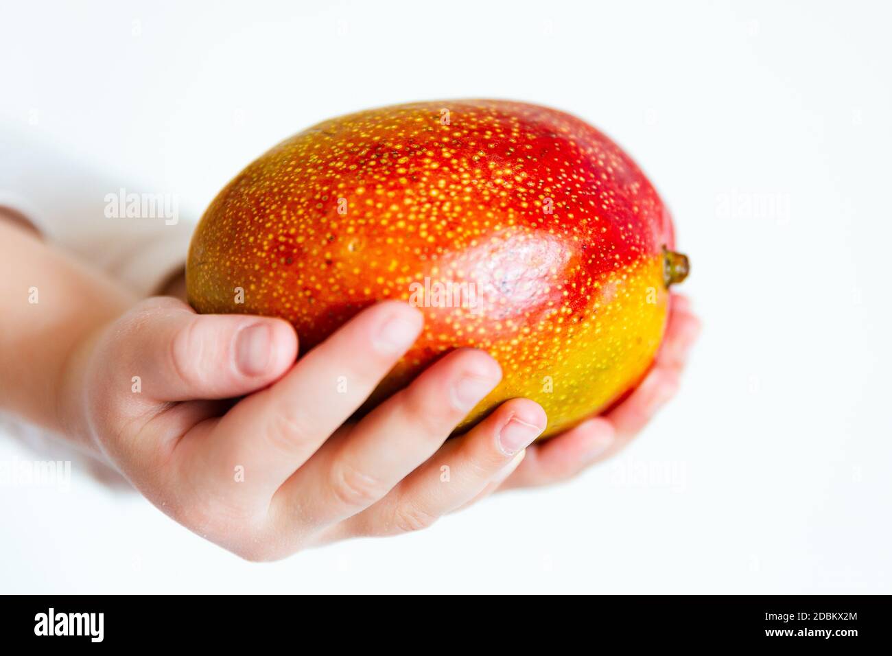Mango in a hands hi-res stock photography and images - Alamy
