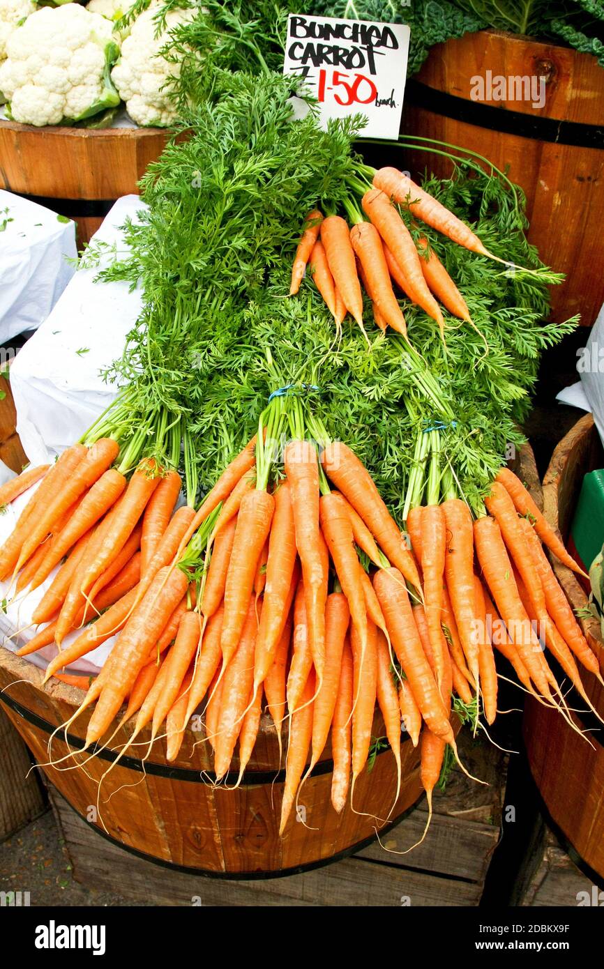 Bunched carrots hi-res stock photography and images - Alamy