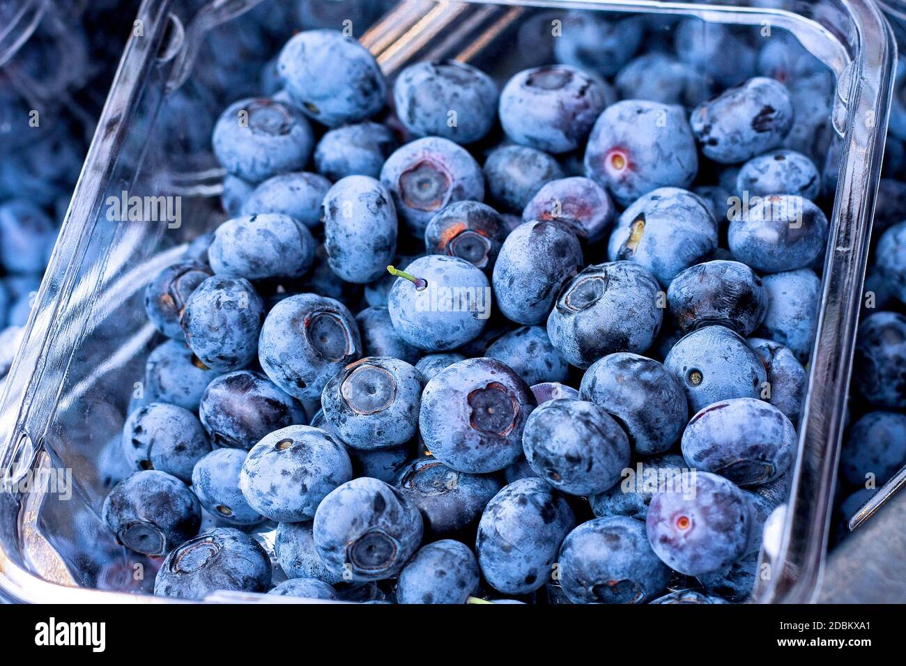 Bucket of fresh organic and natural blueberries Stock Photo - Alamy