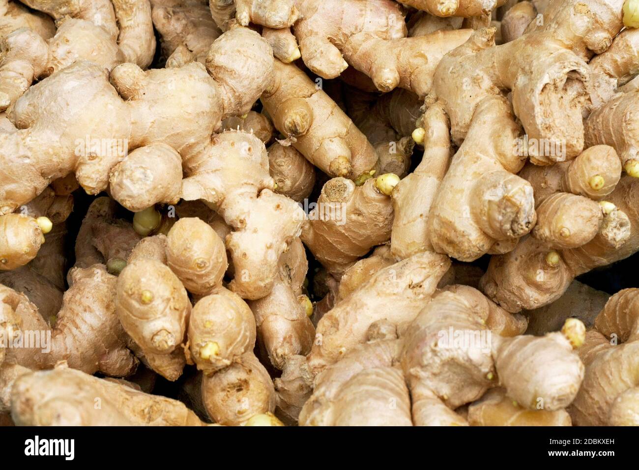 Bunch of fresh ginger on the market Stock Photo - Alamy