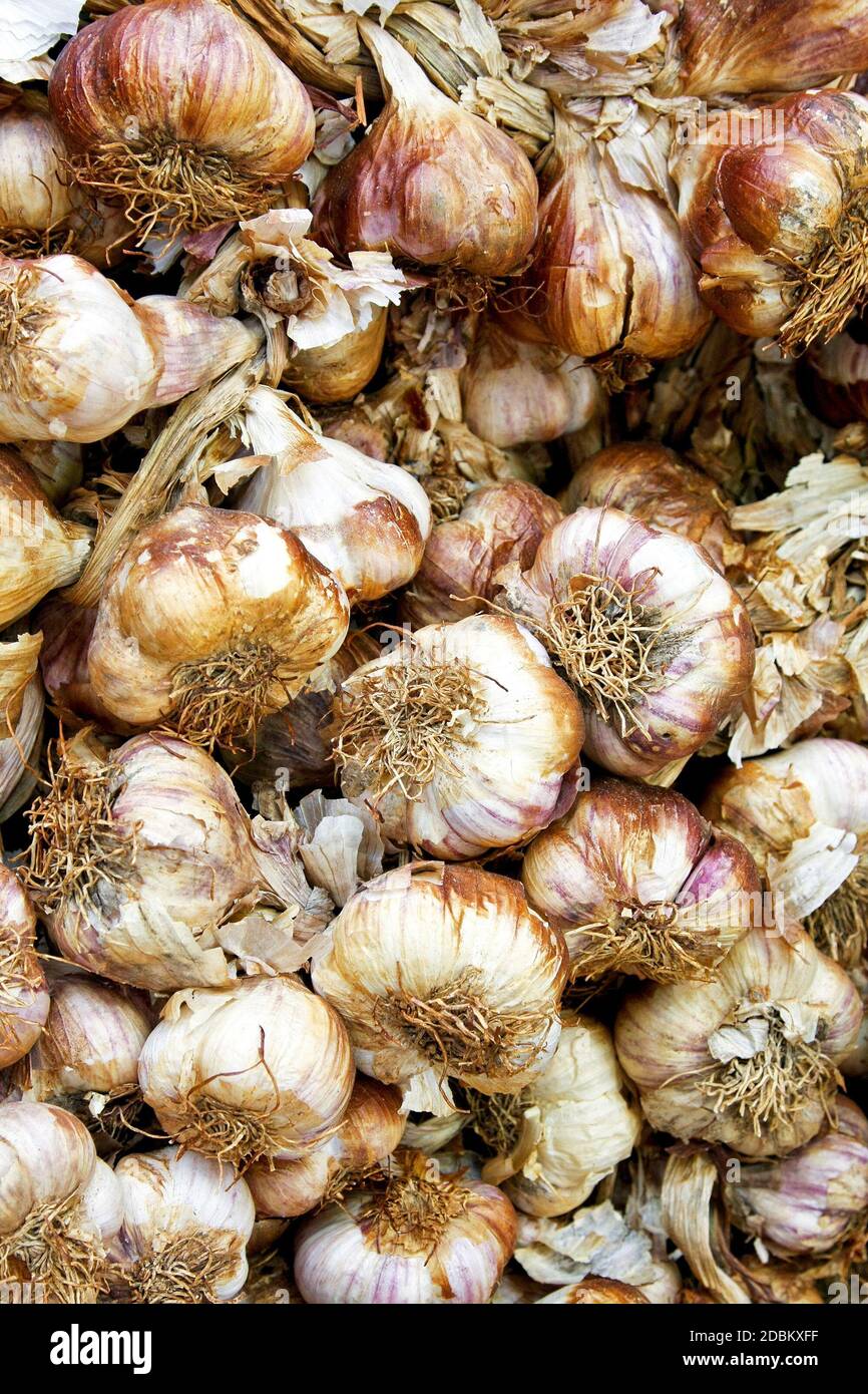 Old natural organic garlic on the market Stock Photo - Alamy