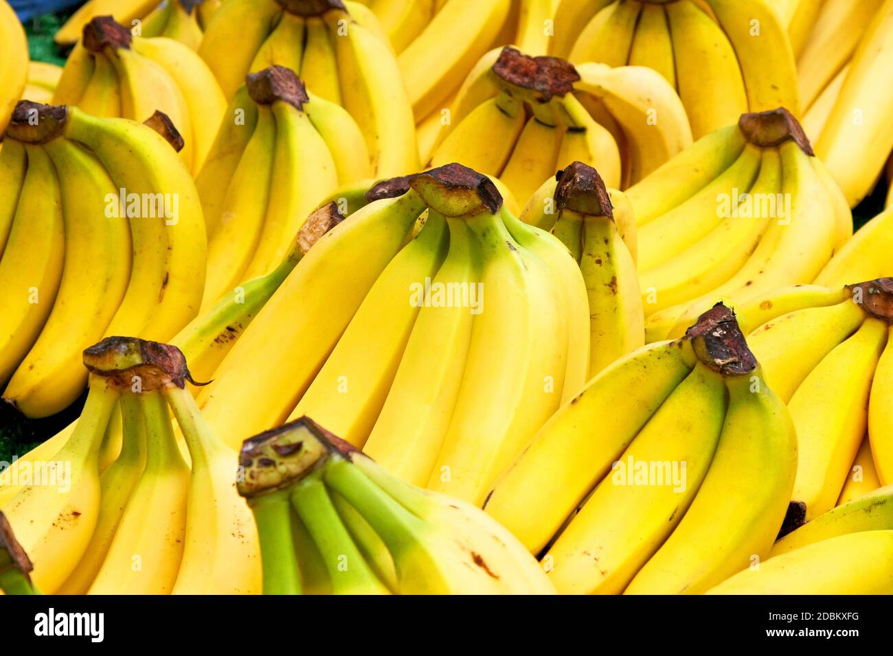Bunch of fresh tropical yellow bananas fruit Stock Photo - Alamy