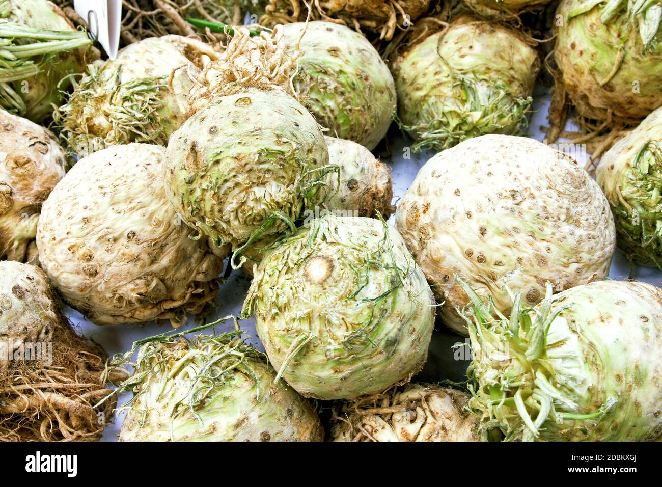 Rutabaga roots hi-res stock photography and images - Alamy