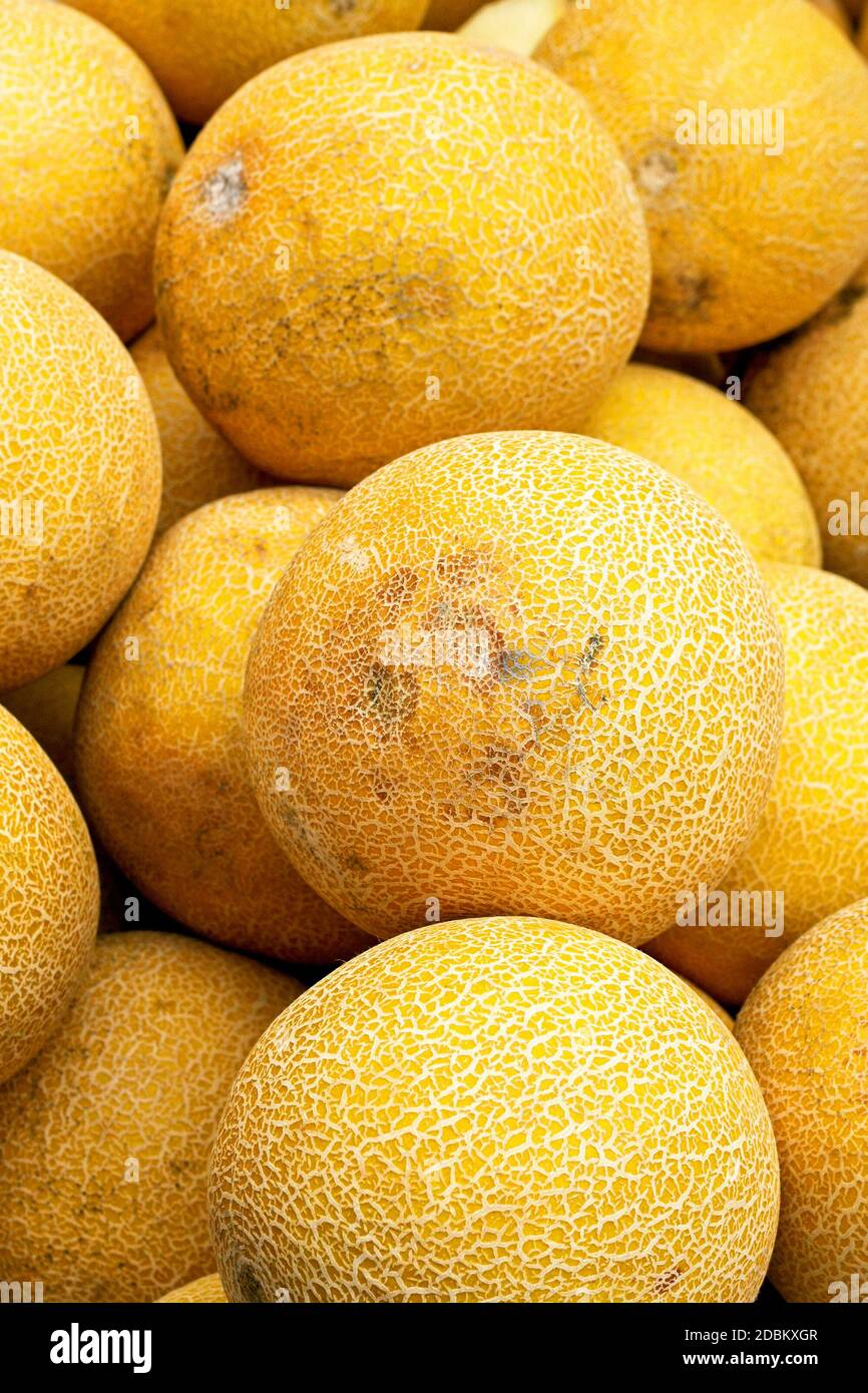 Bunch of fresh yellow melons on the market Stock Photo - Alamy