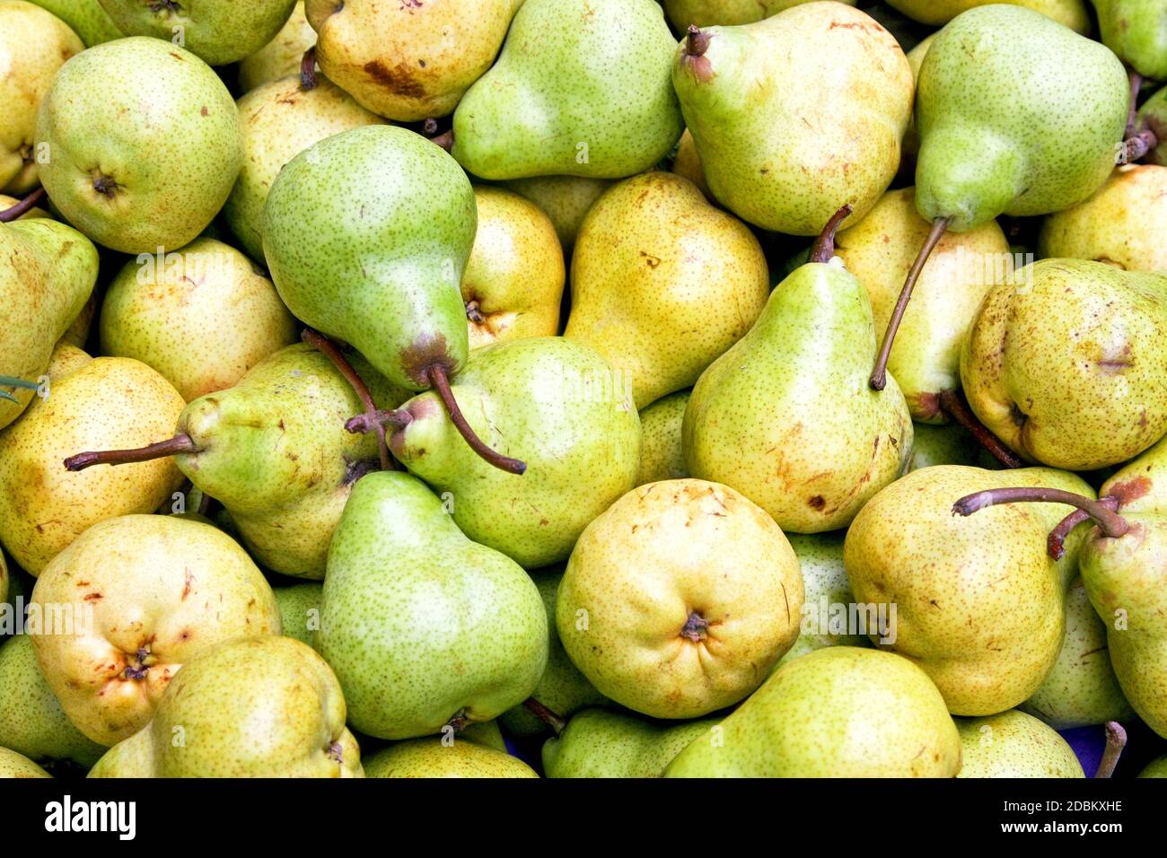 Fresh bunch ripe pears hi-res stock photography and images - Alamy