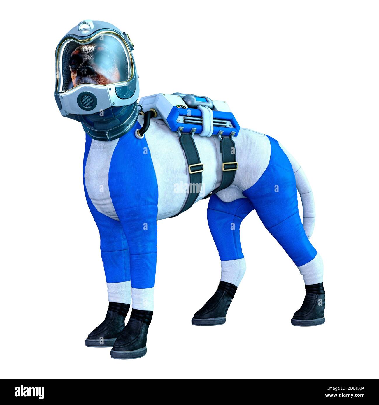 3D rendering of an astronaut dog isolated on white background Stock ...