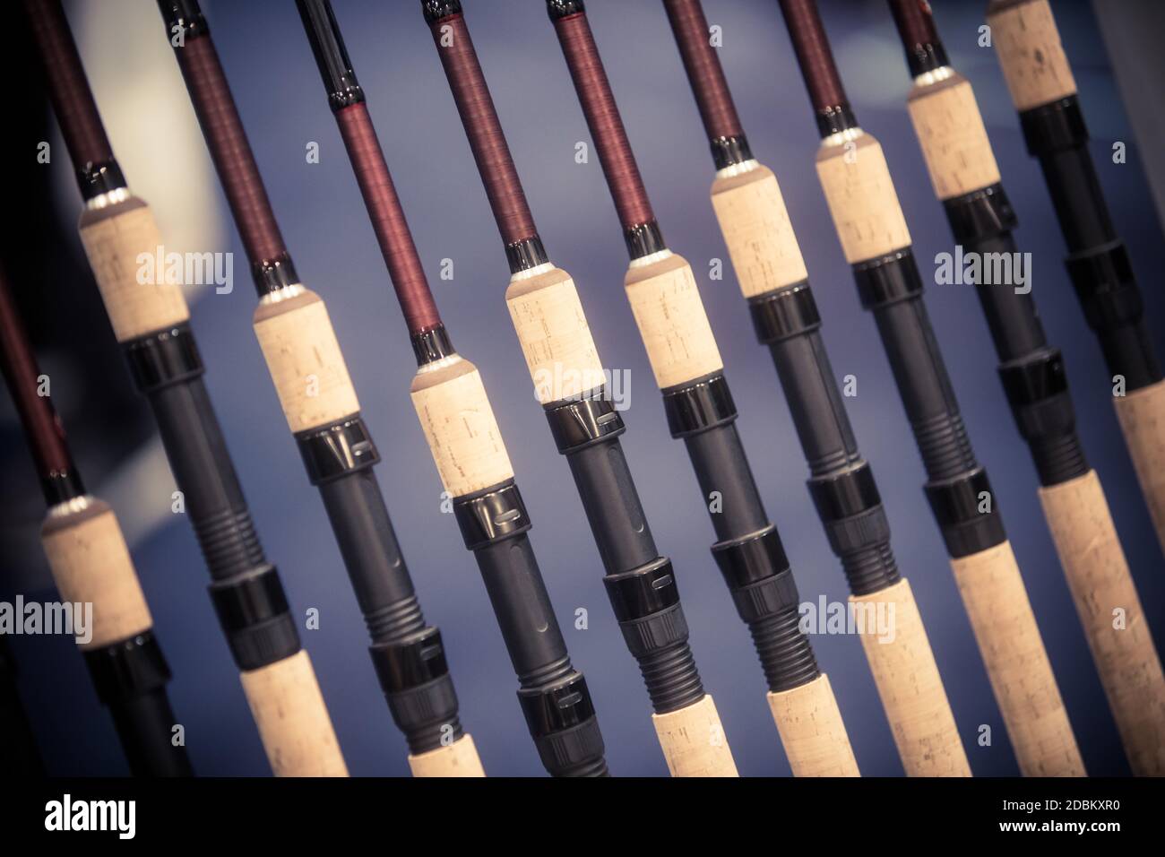Multiple fishing rods hi-res stock photography and images - Alamy