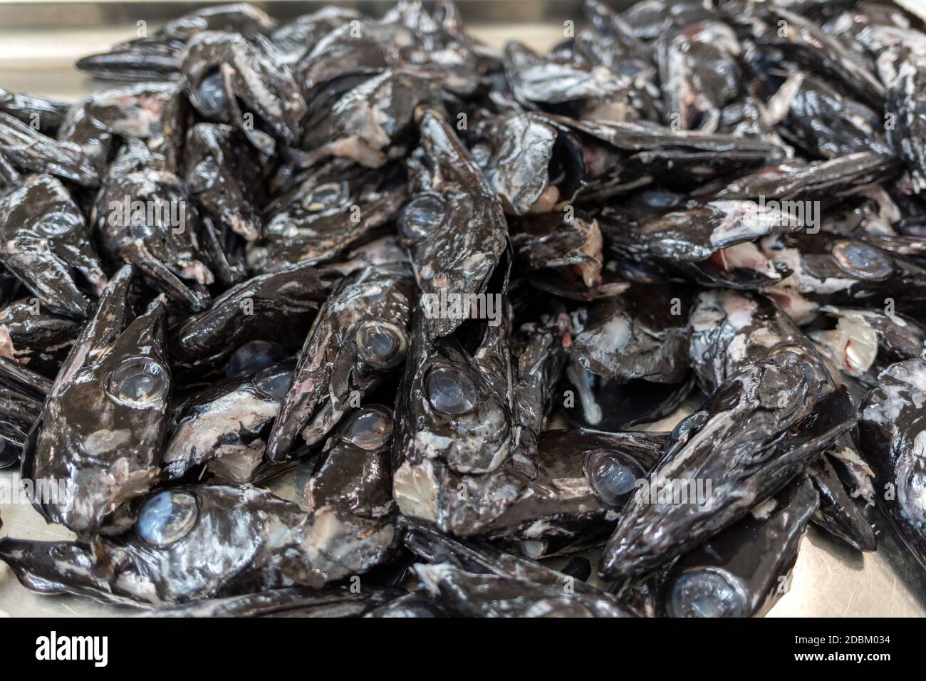 Fish on market, black scabbard (espada) in fish market Stock Photo - Alamy