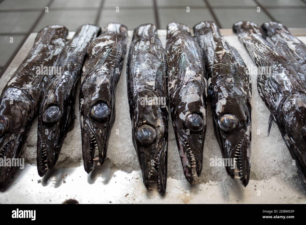 Fish on market, black scabbard (espada) in fish market Stock Photo - Alamy