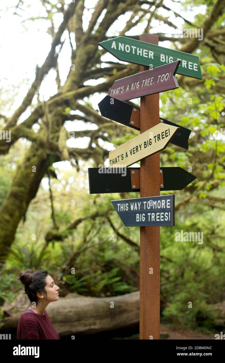 Funny directional sign in redwood forest, Redwoods, California, USA ...
