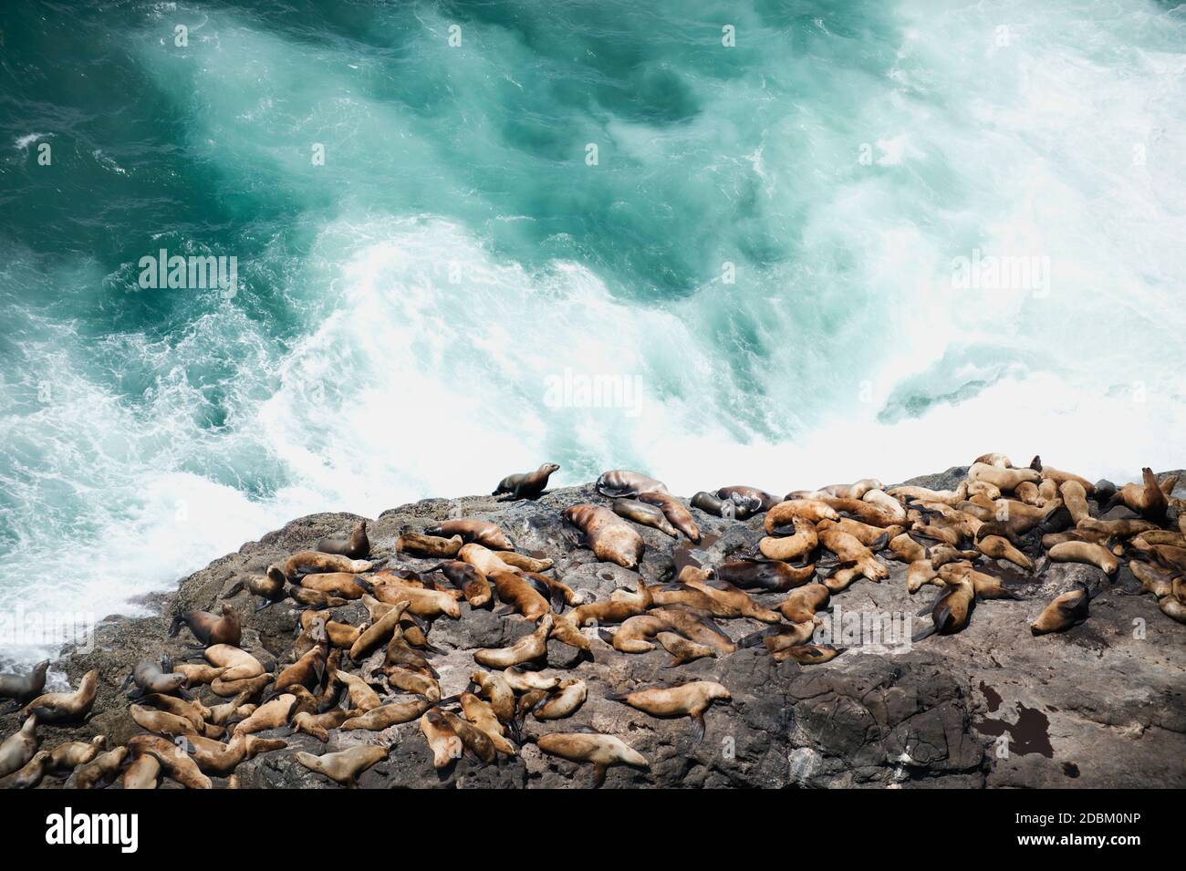 Aquatic caves hi-res stock photography and images - Alamy