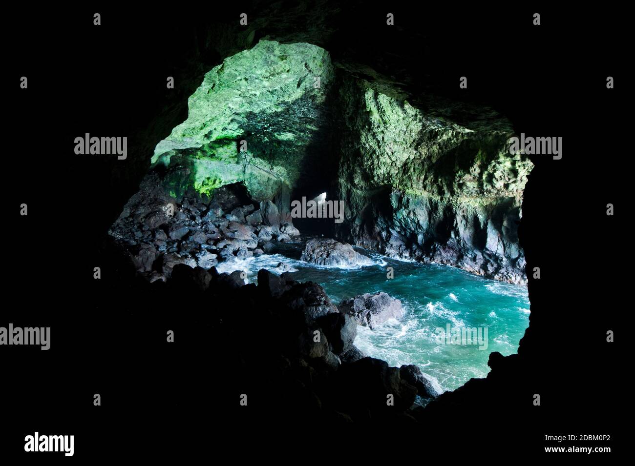 Sea Lion Caves, Oregon, USA Stock Photo - Alamy