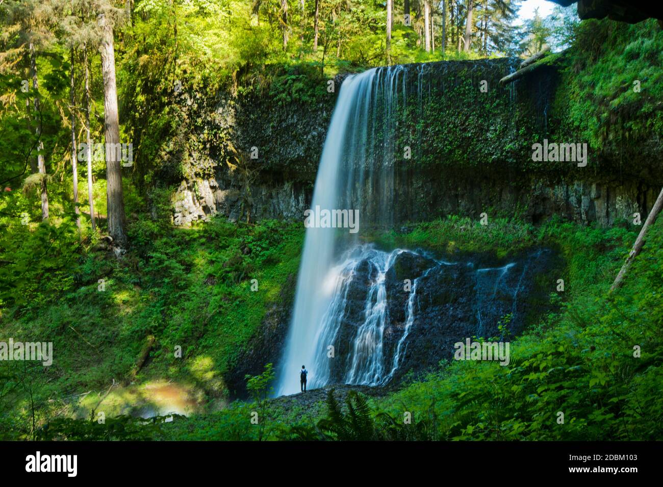 Silver Falls State Park, Oregon, USA Stock Photo - Alamy