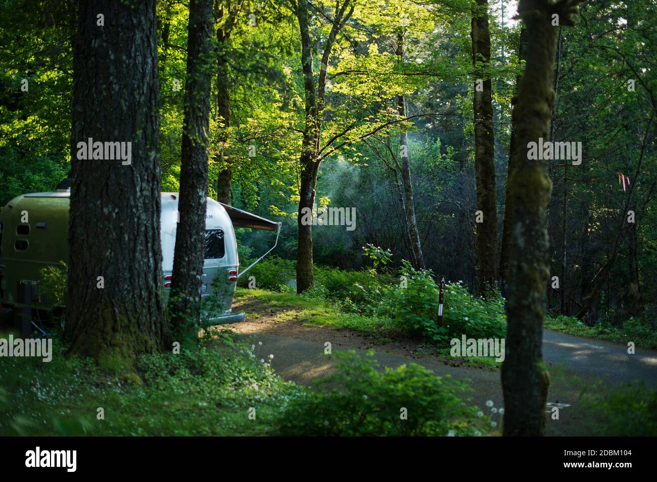 Camper trailer in forest Stock Photo - Alamy