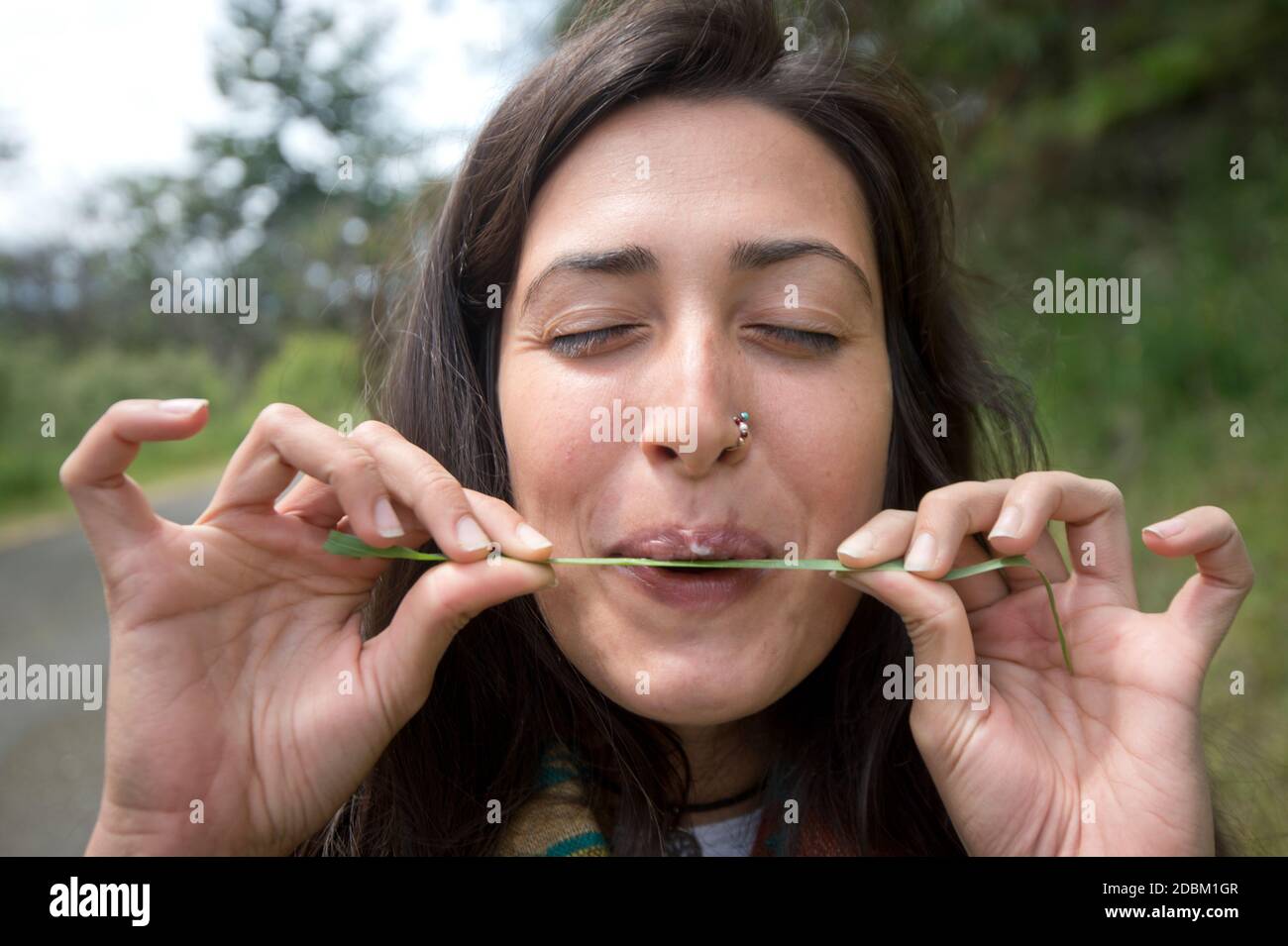 Woman trying to whistle with blade of grass, New Mexico, USA Stock ...