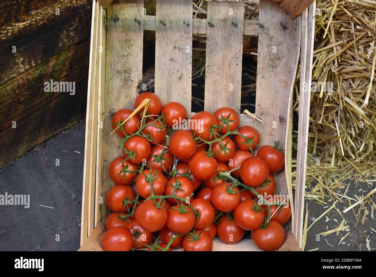 Set tomatoes hi-res stock photography and images - Alamy