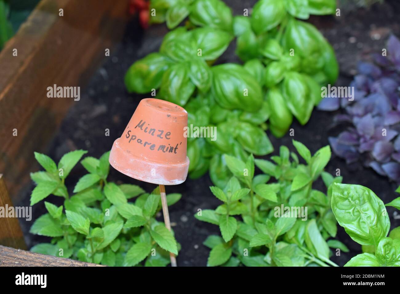 Sparemint hi-res stock photography and images - Alamy