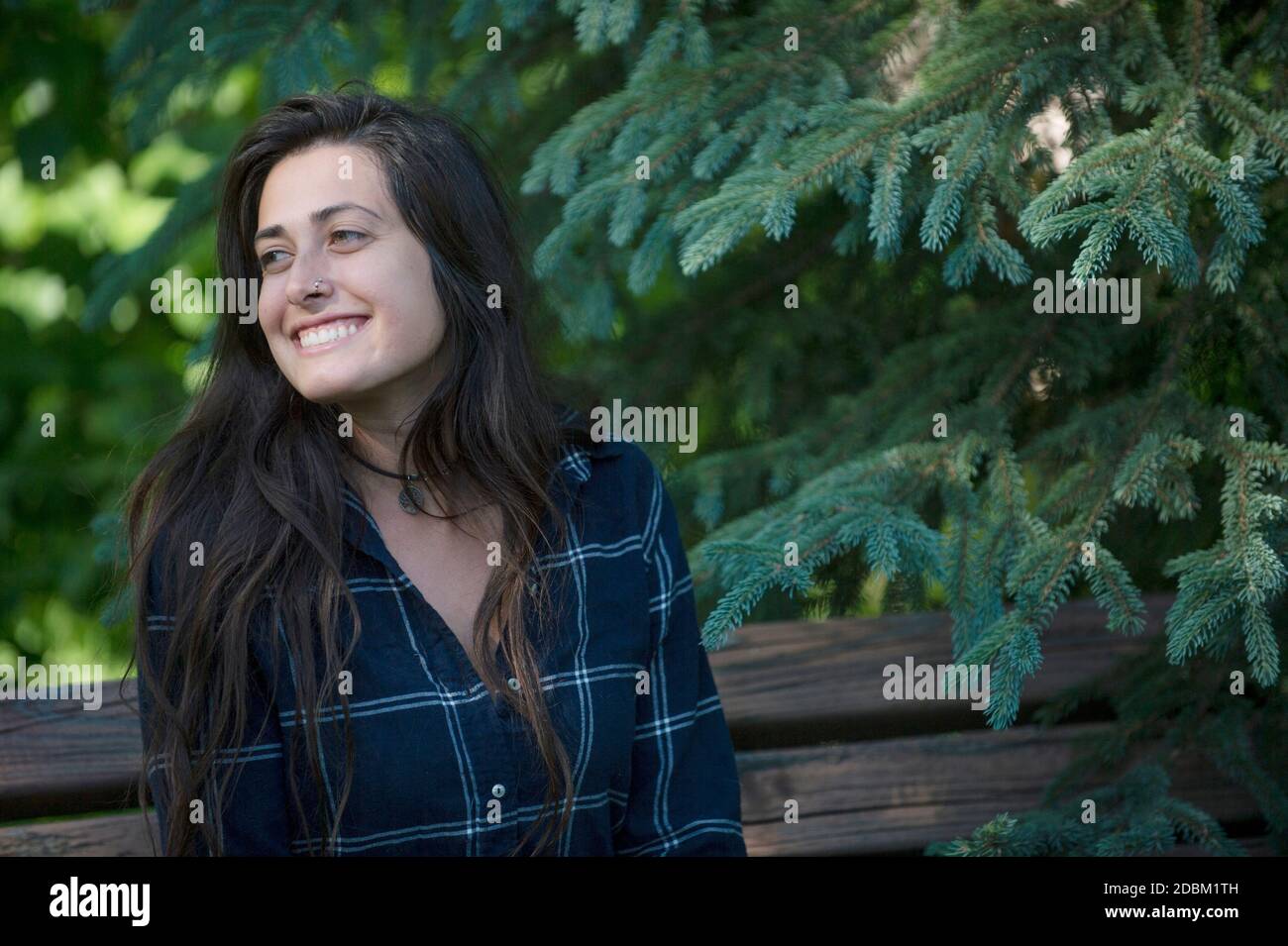 Forest bench hi-res stock photography and images - Alamy